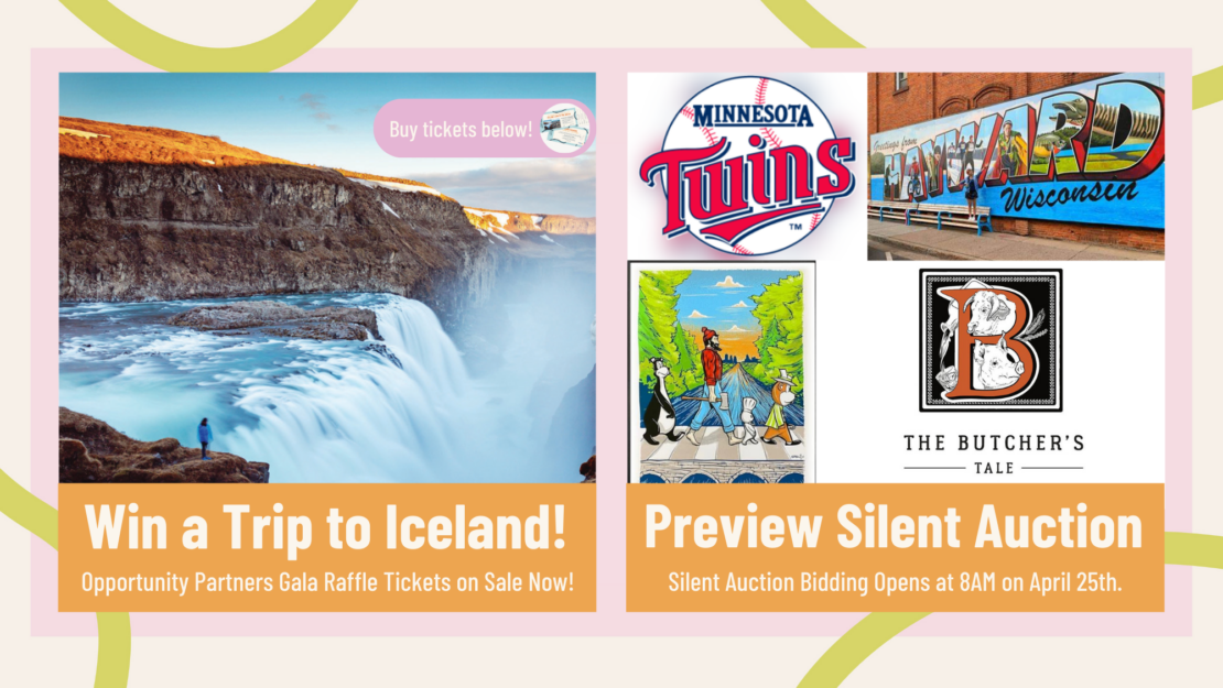 Opportunity Partners